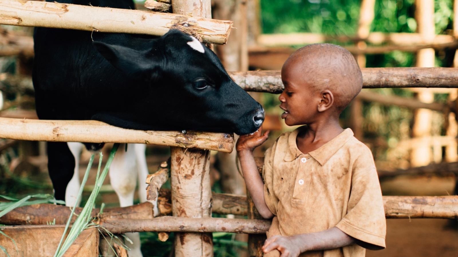 What We Do | Bóthar