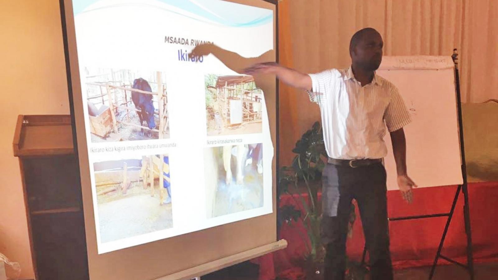 What We Do | Bóthar