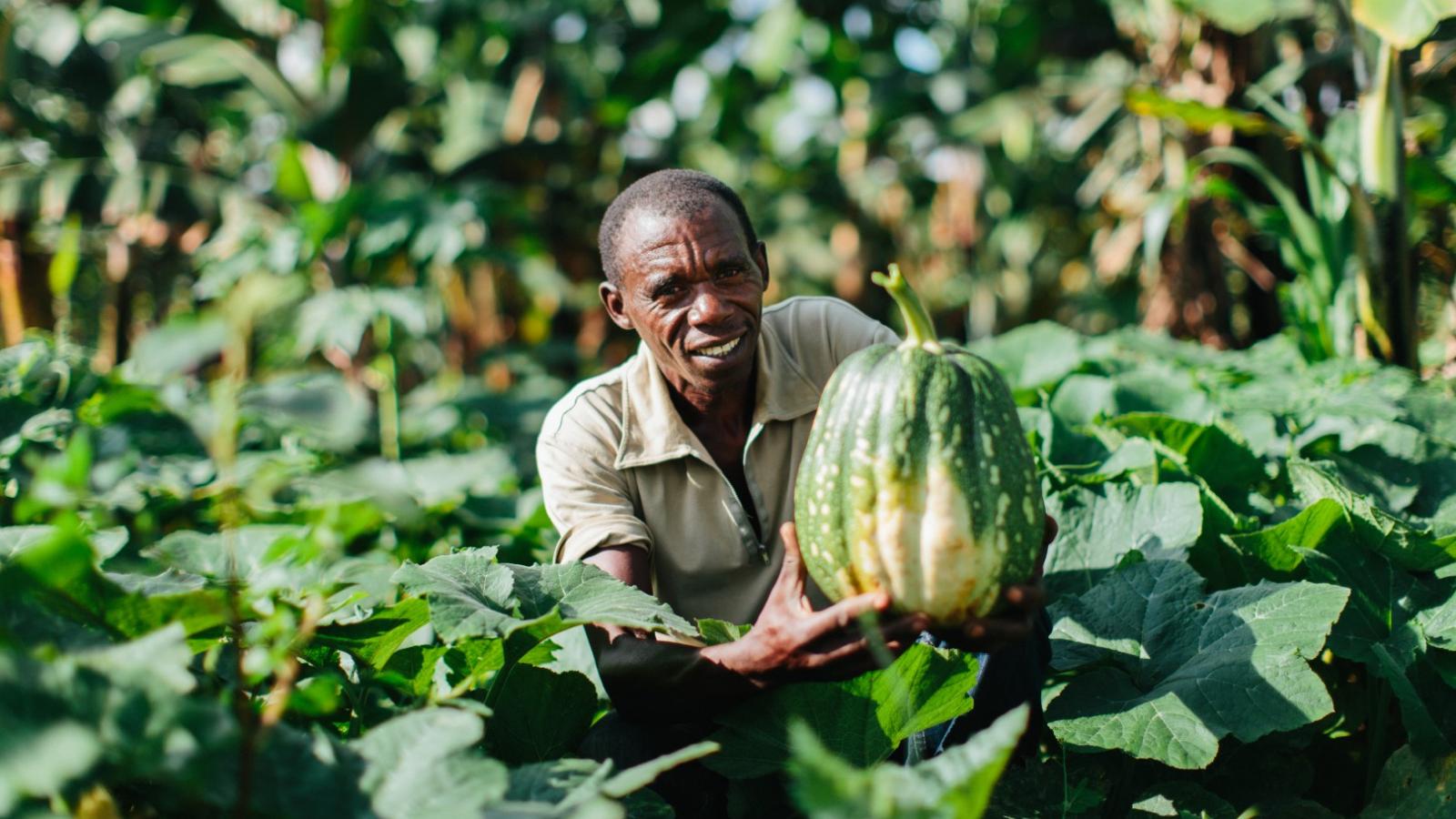 What We Do | Bóthar